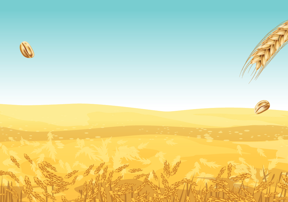 Australia's Nature One Dairy - GoKids - Nature One Dairy®